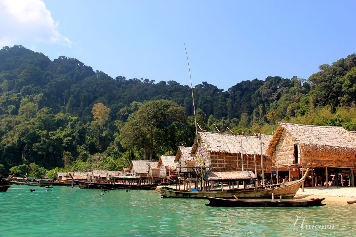 Surin Island Tour: Discover Thailand's Most Stunning Coral Reefs